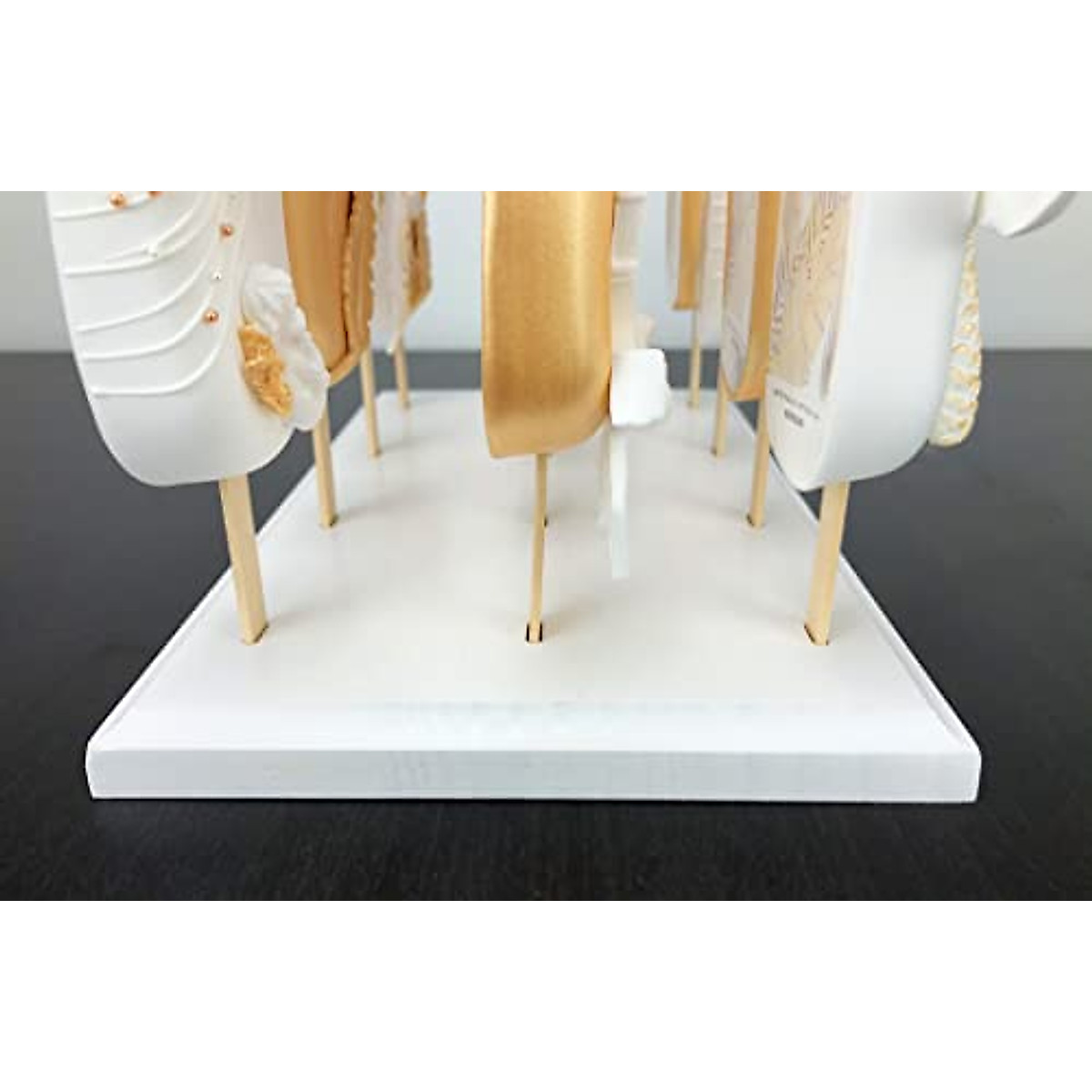 Nangopop Wood Cakesicle Stand Display - 12 Count Popsicle Sticks Holder for Dessert Table of Wedding Shower Birthday Parties - Sturdy and Reusable