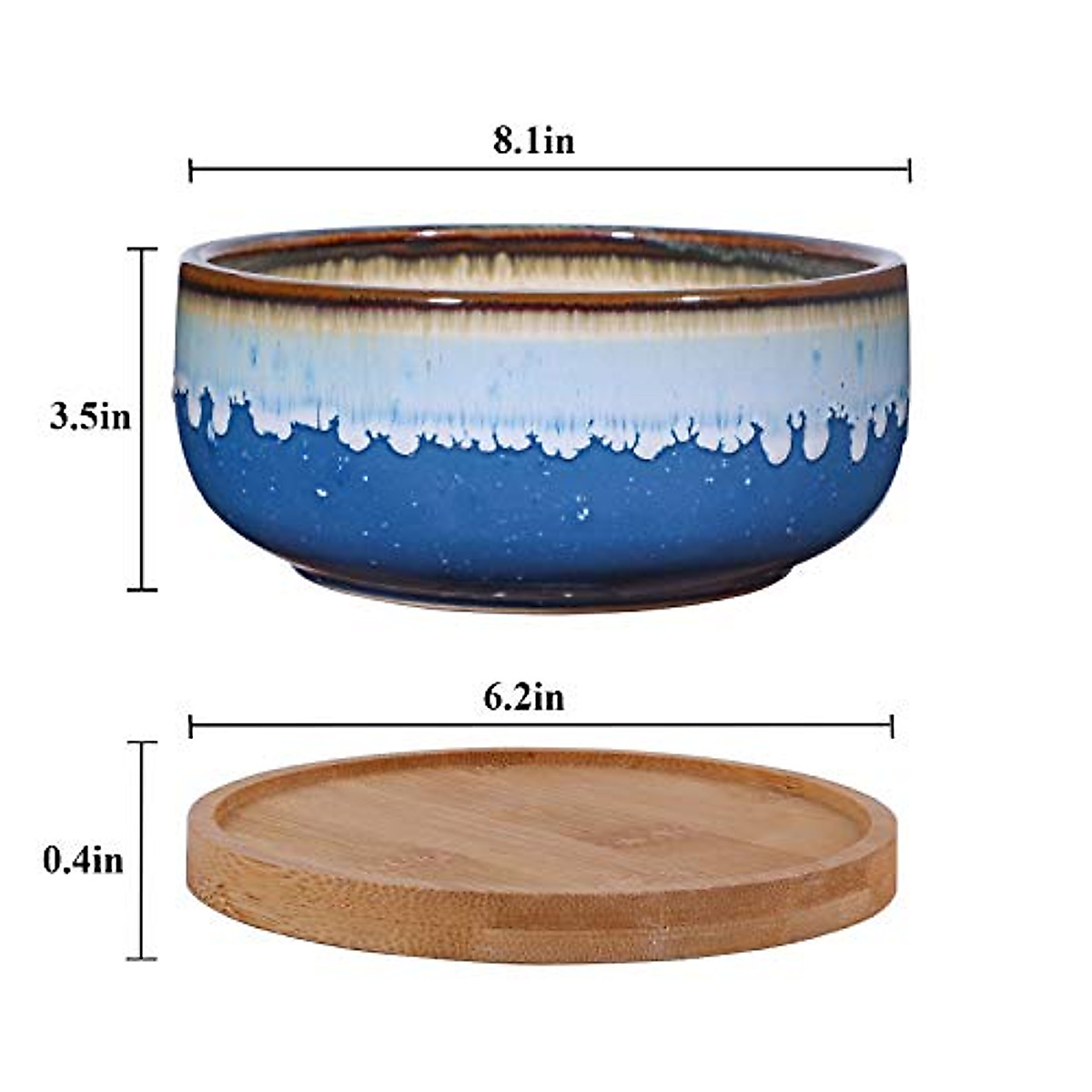 EPFamily 8 Inch Succulent Planter Pot with Drainag and Saucer Shallow Bonsai Pot for Indoor Plants Blue