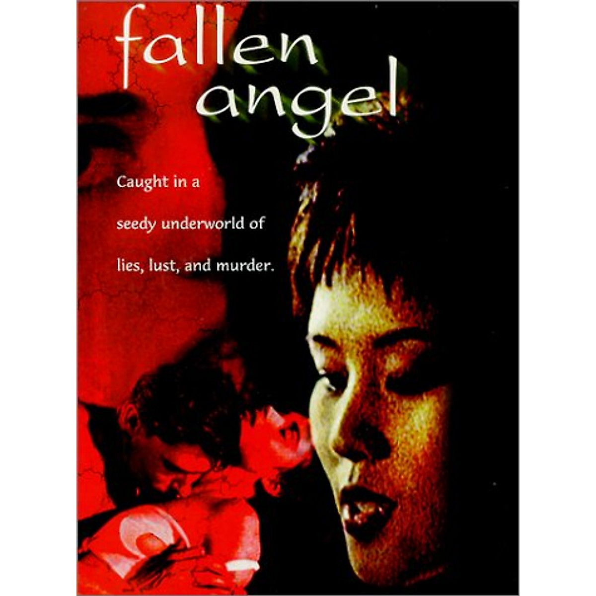Fallen Angel [DVD]