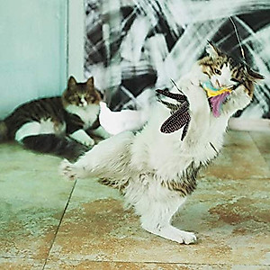 Highland Farms Select Handmade Natural Feather Cat Toy Dah Bird Refills - Interactive Cat and Kitten Toy - 6 Pack