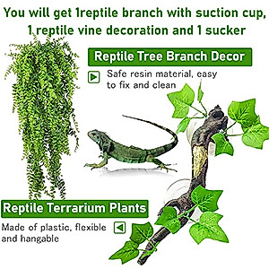 Hamiledyi Reptile Corner Branch Climbing Terrarium Plant Decoration Fake Vines Hanging with Suction Cup for Snakes Amphibian Bearded Dragons Lizards Frogs Geckos Tank Habitat Decor (2 PCS)
