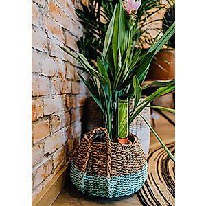 B SEPOR Ceramic Plant Waterer Set of 6 Pack Terracotta Self Watering Spikes,Wine Bottle Plant Watering Devices for Vacation (6Pack)