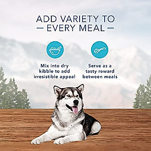 Blue Buffalo Wilderness Trail Toppers Wild Cuts High Protein Natural Wet Dog Food, Chunky Chicken Bites in Hearty Gravy, 3 Oz pouches (Pack of 24)