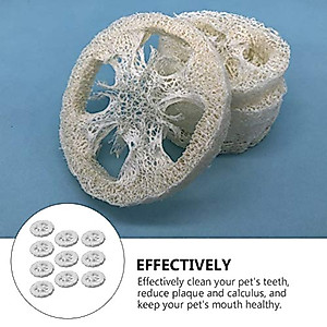 TEHAUX 20pcs Loofah Toys, Rabbit Chew Toys for Dental Health, Natural Handmade Material Small Animal Toys for Guinea Pig Hamster Rabbit Rat (Random Color)