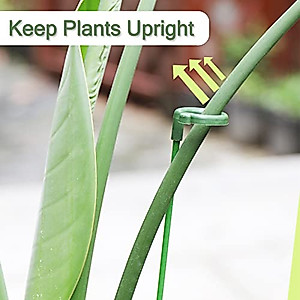 30 Pcs Plant Support Stakes with 30 Pcs Plant Clips Garden Floral Flower Support Single Stem Support Stake for Phalaenopsis Orchid Flower Roses Amaryllis