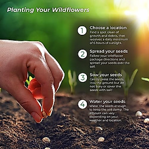 Colorado Wildflower Seed Mix, Covers 325 Sq Ft, 14 Flower Varieties, Over 53,000 Seeds - Created By Nature