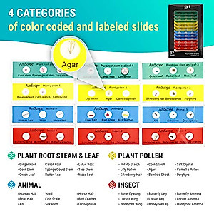 AmScope - 36pc Kids Prepared Microscope Slide Set of Color-Coded Zoological and Botanical Prepared Specimen Slides -PS-P12X3-A
