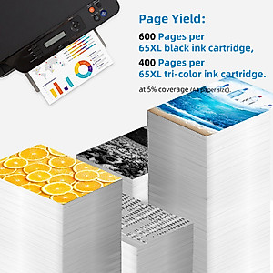 Relcolor HP65 XL Higher Yield Ink Cartridge for HP 65 65XL Black Color Combo for Envy 5000 5055 5052 5014 DeskJet 3755 3700 3772 3752 2622 2652 2600 Printer,HP65XL