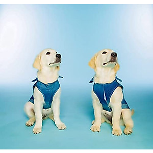 Dolly Doggy Parton Blue Denim Jacket with Collar for Dogs, Dog Apparel