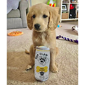 Nestpark Pup Claw Dog Toys - Funny Cute Plush Dog Toys with Squeaker - Parody (2 Pack) (Tropical Pack)