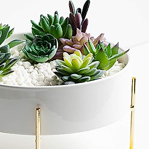 kimisty 10 Inch Large Round Succulent Planter Bowl with Gold Metal Plant Stand, White Ceramic Pot with Drainage, Succulent Garden Shallow Pot, Centerpiece Tabletop