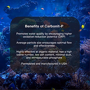 Brightwell Aquatics Carbonit-P - Activated Carbon Filter Media for Marine and Freshwater Aquarium