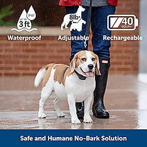 PetSafe Audible Bark Dog Collar, Humanely Stop Barking, Alternative to Static Shock No Bark Collar, 10 Levels of Safe Correction – for Small, Medium & Large Dogs Over 8 lb, Rechargeable & Waterproof