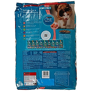 Purina O.N.E. Cat Food Adult Total Nutrition Salmon & Tuna, 16 lb