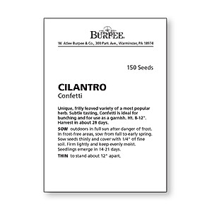 Burpee Confetti Cilantro Seeds 150 seeds