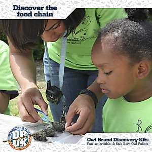 20 Small Barn Owl Pellet Dissection Kit with Paddle Pick & Bone Charts