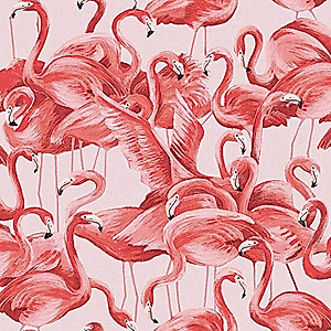 Tempaper Cheeky Pink Flamingo Removable Peel and Stick Wallpaper, 20.5 in X 16.5 ft, Made in the USA