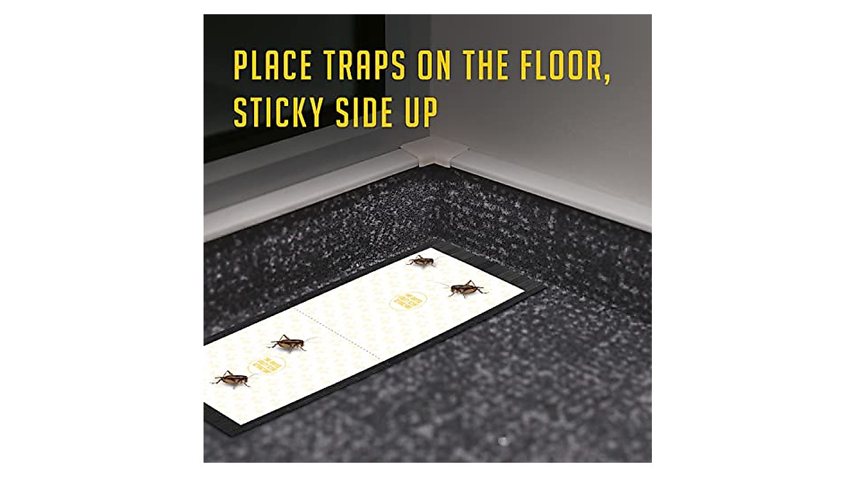 Extra Large Bug Sticky Traps - Non-Toxic Cricket Solution
