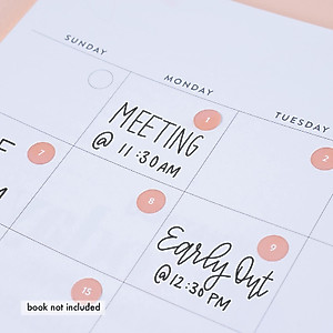 Erin Condren Designer Sticker Sheets - Colorful Date Dots Stickers - 12 Monthly Sticker Sheets, 432 Stickers Total. Decorative and Cute Stickers for Customizing Planners, Notebooks, and More