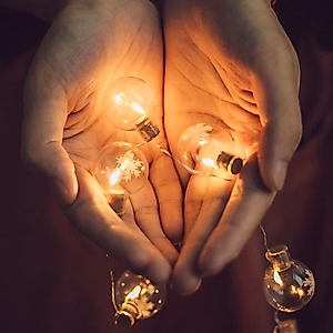 lamphle LED Decorative Non-Glaring Fairy Lights, Battery Powered 4 Styles Glass Night Light, Bulb Shape Scene Layout Attractive Fall Garland with Lights Elk