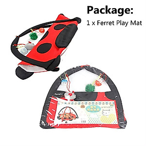 HAICHEN TEC Ferret Play Mat - Foldable Fleece Activity Center with Hang Toys Balls Mice Small Animal Interactive Mat Tent Toy for Exercise Napping (Ladybug)