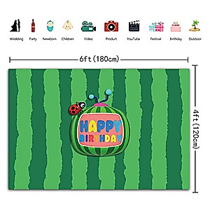 Cute Cartoon Watermelon Backdrop Kids 1st 2nd 3rd Happy Birthday Watermelon Theme Party Photography Backdrops Newborn Baby Shower Decoration Background 6x4FT