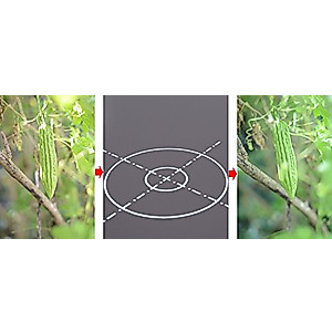 Lightdow 12 x 12 Inch (30 x 30 cm) White Balance 18% Gray Reference Reflector Grey Card with Carry Bag [Folded Version]