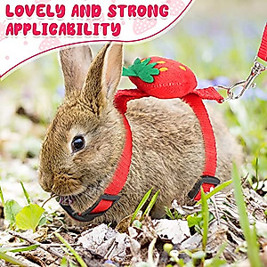 2 Pack Adjustable Rabbit Harness and Leash Bunny Harness Leash Set Harness Leash for Rabbit Kitten Puppy Pig and Small Pet Animals (Carrot, Strawberry)