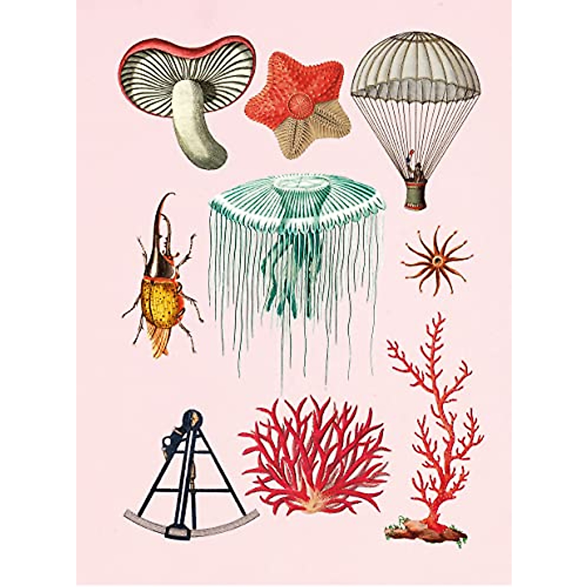 The Antiquarian Sticker Book: Over 1,000 Exquisite Victorian Stickers (The Antiquarian Sticker Book Series)