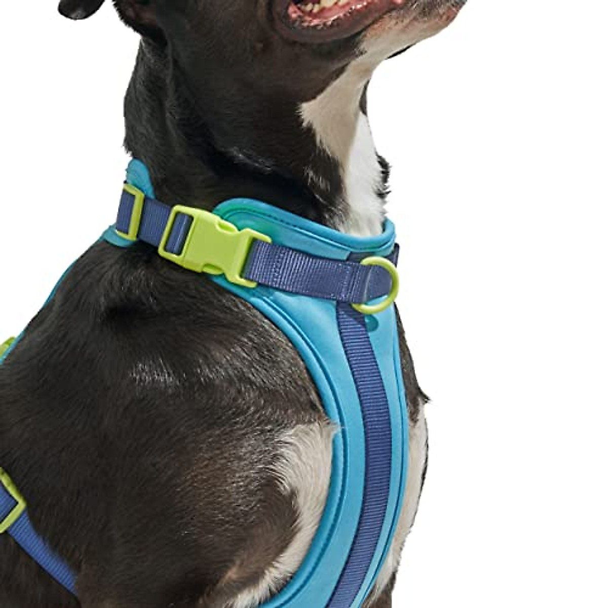 Wild One, Limited Edition, Designer Collection, Dog Harness, No-Pull Pet Harness with 3 Leash Clips, Adjustable Soft Padded Dog Vest, Comfortable, Stretchy, Medium, Blue
