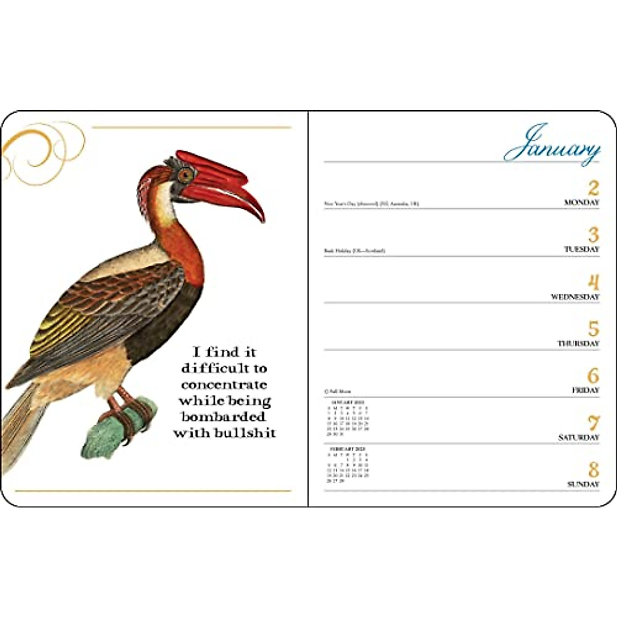 Effin' Birds 12-Month 2023 Monthly/Weekly Planner Calendar