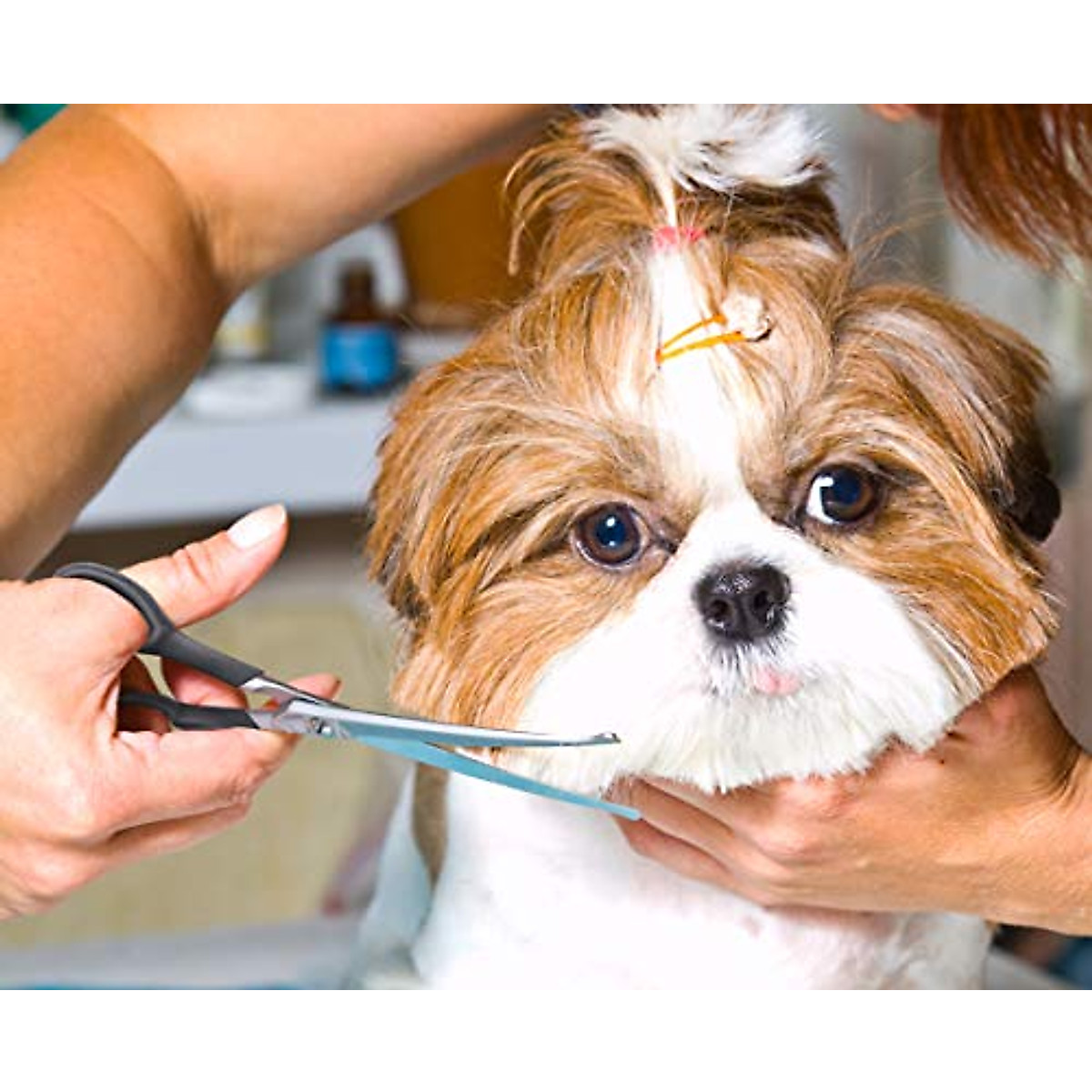 Pets First #1 Pet Grooming Scissors Body & Facial Trimmer Durable Stainless Steel Blades. Rounded Tips Shears for Long Medium Short Thick Wiry Curly Hair. Lightweight Cutter for Dogs & Cats. Set of 2