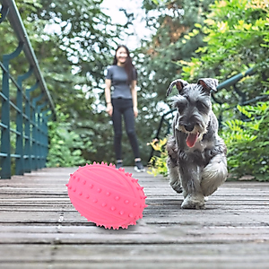 LUOZZY 3Pcs Dog Chewing Ball Puppy Squeaky Ball Interactive Teething Rugby Ball Toy Indoor Outdoor Plaything Pet Supply