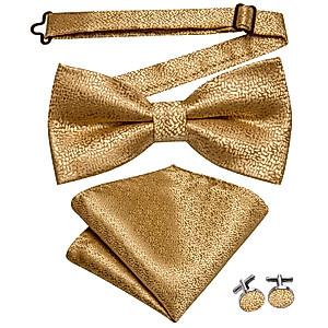 Dubulle Gold Bow Tie Lapel Pin Set for Men Mens Solid Gold Pretied Bowties Handkerchief Cufflinks
