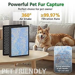 isinlive True HEPA Replacement Fil-ter Compatible with Okaysou AirMax 8L Air Puri-fier, 3-in-1 H13 True HEPA Fil-tration System