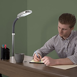 Adjustable Floor Lamp – Full Spectrum Natural Sunlight Lamp with Bendable Neck - Reading, Crafts, Esthetician Floor Light by Lavish Home (Chrome)