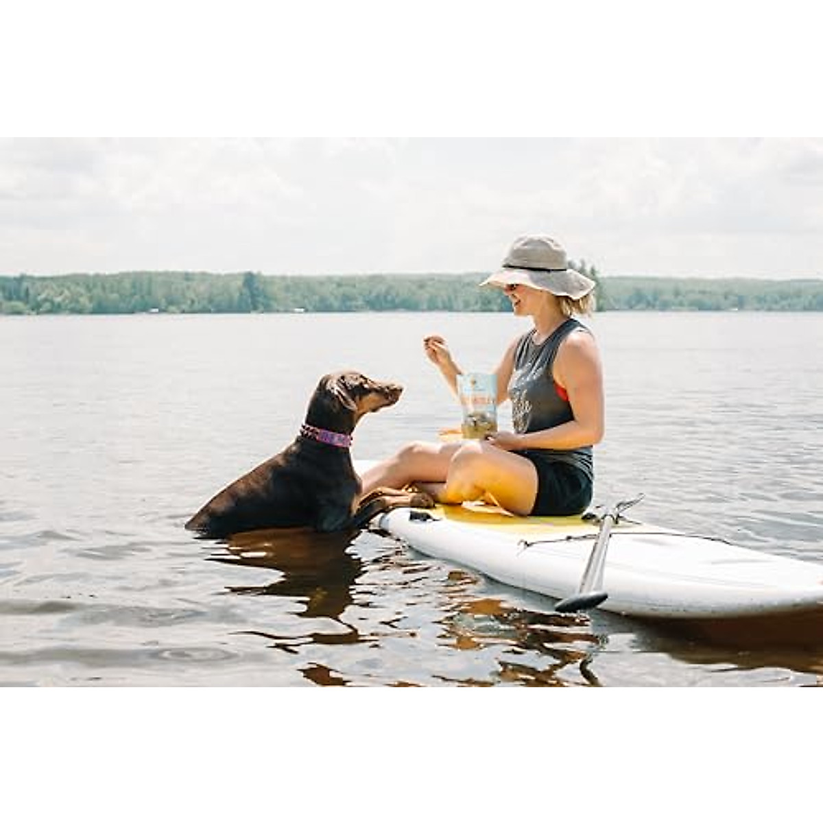 Remy’s Kitchen Sweet Potato Turmeric Freeze Dried Dog Treats USA Sourced and Small Batch Made - Human-Grade, All Natural Superfood Dog Snacks Without Artificial Preservatives, Grain Free - 3.5 oz