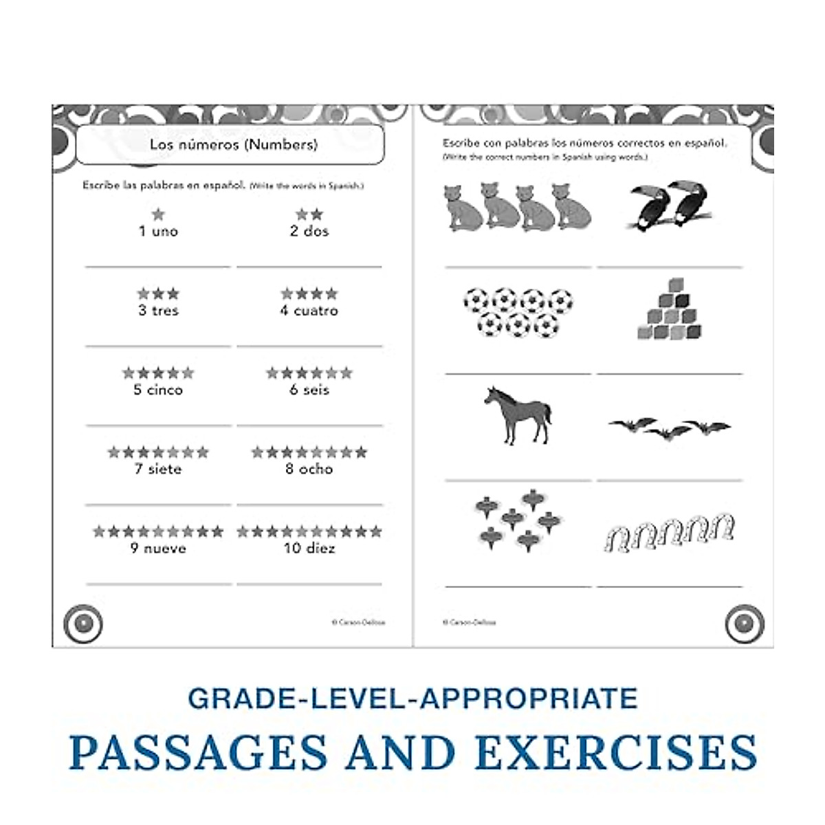 Carson Dellosa Skill Builders Grades K–5 Spanish Workbook for Kids, Spanish Vocabulary Builder for Kids Ages 5-11, Kindergarten―5th Grade Workbook, Learn Spanish Numbers, Alphabet, Vocabulary & More