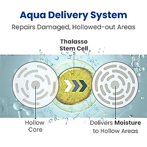 8 THE THALASSO Smooth Series: Normal to Oily Hair Conditioner, Unique Thalasso Stem Cells with Deep Sea Water & Marine Collagen, Chemical-Free, Moisturizing & Smoothing, 475mL /16.06 fl oz