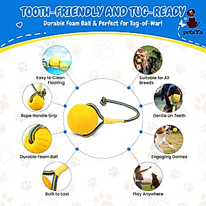 petsYa Ball Dog with Rope and Dog Ring Flying Traning chew Dog Toys Soft Foam Ball for Fetching Soaring Flying Ring