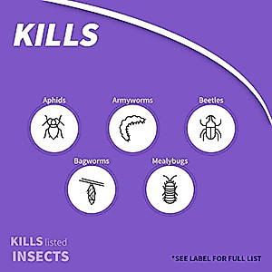 Bonide Eight Insect Control Vegetable, Fruit & Flower, 32 oz Concentrate Long Lasting Insecticide for Beetles and More