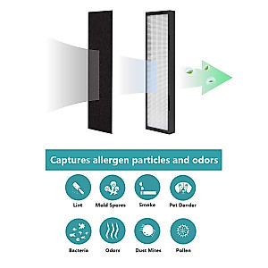Lhari FLT5000 Filter C True HEPA Replacement Filter, Compatible with GermGuardian Air Purifiers AC5000, AC5250PT, AC5000E, AC5350B, AC5350BCA, AC5350W, BXAP250, IAP-GG-125