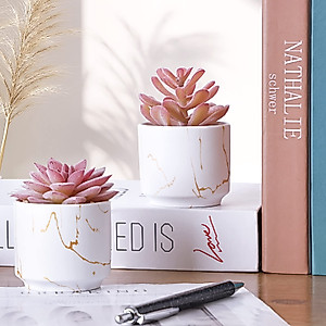 CEWOR 2pcs Succulents Plants Artificial Pink Office Decor for Women, Fake Succulents in Ceramic Pots, Fake Plants for Bathroom Desk Home Decoration Office Supplies