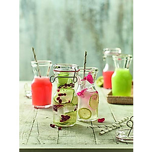 Luigi Bormioli Lock-Eat 8.5 oz Juice Jar,Set Of 6