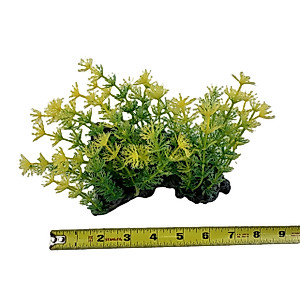 Gingerbread Pet Supply Wide Plastic Aquatic Plant with Large Weighted Base