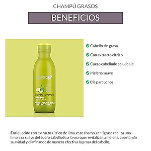 ALEA - Anti-Grease Shampoo - Greasy Hair Shampoo - 500 ml - with Lime Extract - Controls Excess Grease in Hair - Healthy Scalp - Soft Hair - Paraben-Free