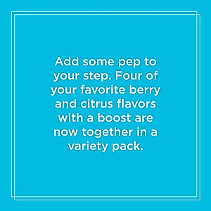 Sparkling Ice +Caffeine Variety Pack-Black Raspberry/Blue Raspberry/Strawberry Citrus/Citrus Twist 12 16oz Can