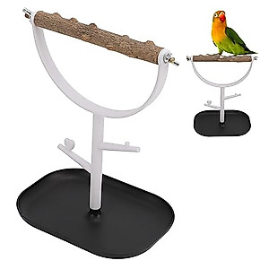 Parrots Stand, Portable Desktop Bird Playstand Parrots Training Stand for Parakeets Cockatiels Lovebirds Bird Training Stand Table Top Bird Perch Bird Playground Bird Stand Parrot Perch Stand