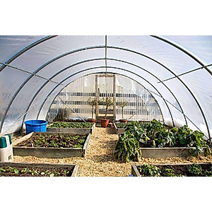 GRELWT Greenhouse Film 8 x 25 ft, 6 mil Thickness Covering Plastic, UV Resistant