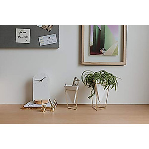 Umbra - 1004372-524 Trigg Desktop Planter Vase & Geometric Container-for Succulent, Air, Mini Cactus, Faux Plants and More, Desk, White/Brass
